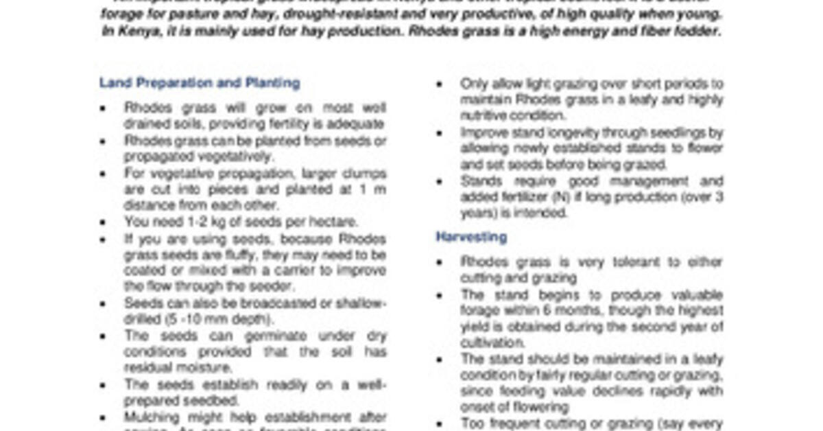 Rhodes Grass (Chloris gayana): Factsheets on forage species in East Africa
